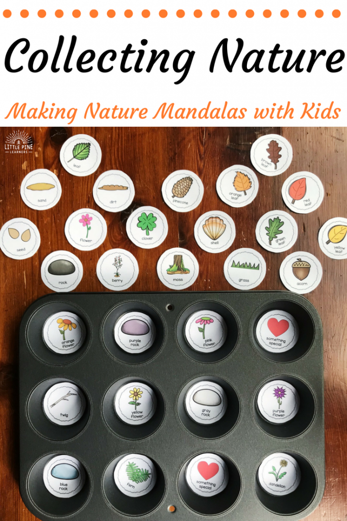 How to Make Nature Mandalas with Kids • Little Pine Learners