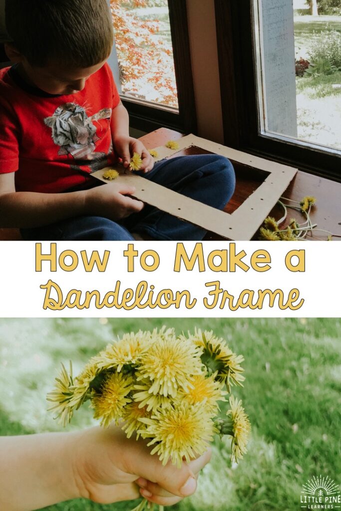 How to Make a Simple Dandelion Frame • Little Pine Learners