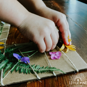 A Beautiful Nature Frame • Little Pine Learners