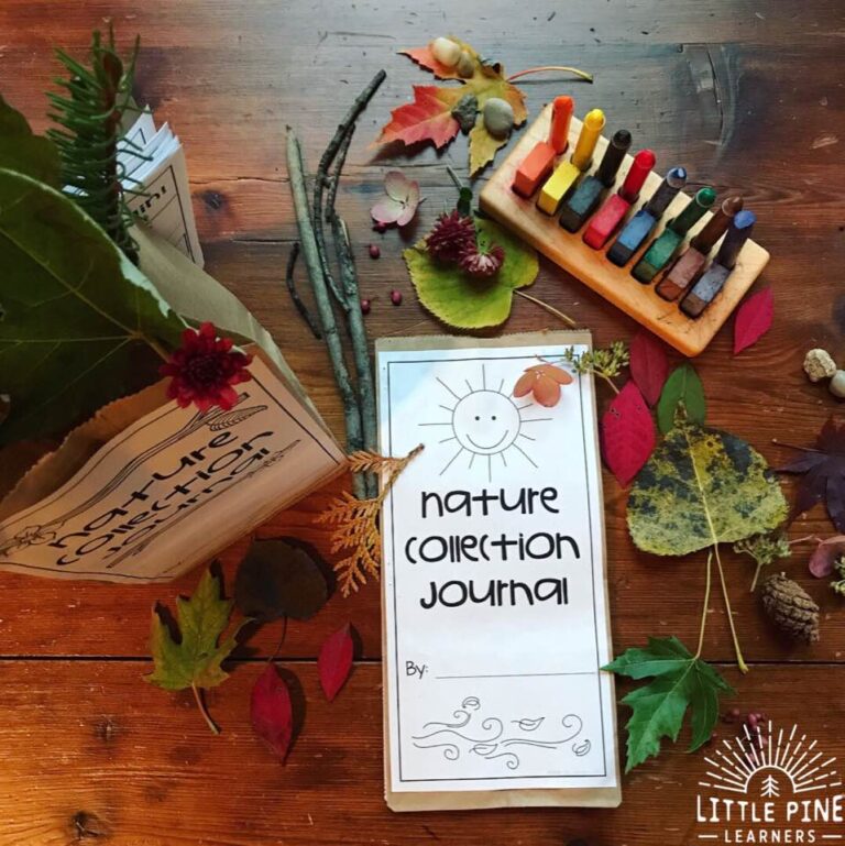 A Beautiful Nature Frame • Little Pine Learners