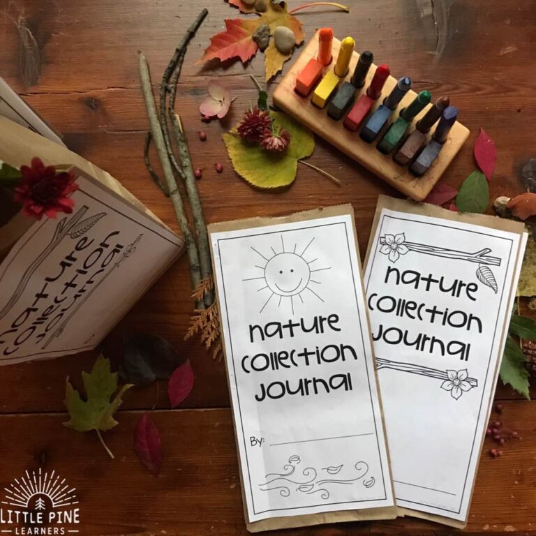 Nature Collection Journal for Kids • Little Pine Learners