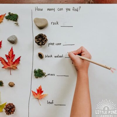 Nature Find and Count Math Activity • Little Pine Learners