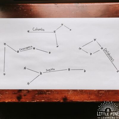Nature Constellation Matching Game • Little Pine Learners