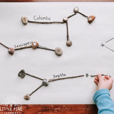 Nature Constellation Matching Game • Little Pine Learners
