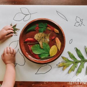 100 Low-Prep Activities You Can Do In Your Own Backyard • Little Pine ...