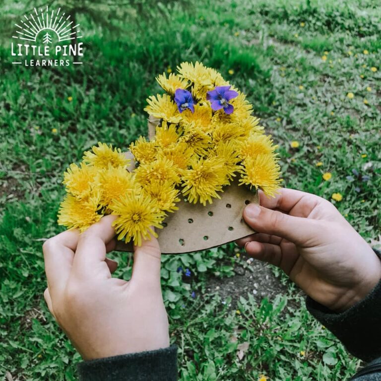Spring - Little Pine Learners