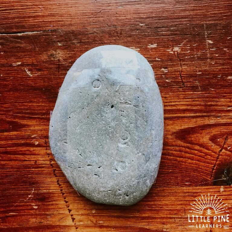 Dandelion Rock Family • Little Pine Learners