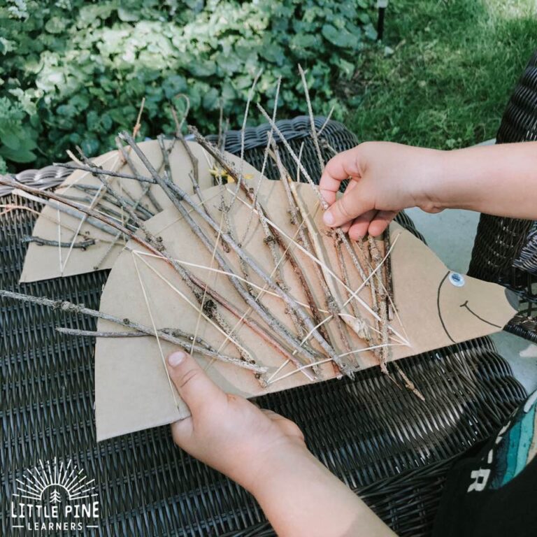 Easy Porcupine Nature Craft • Little Pine Learners