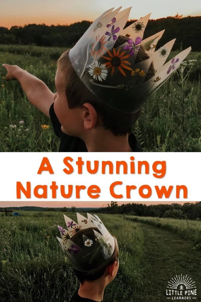Stunning Nature Crown • Little Pine Learners