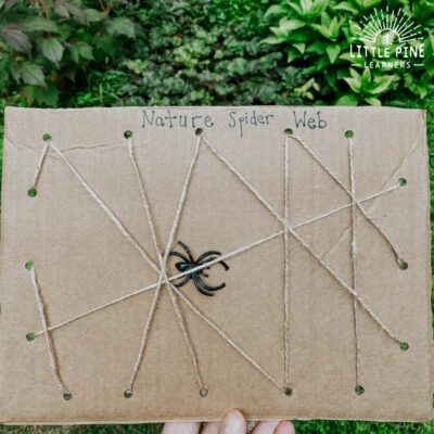 Spider Web Nature Weaving Activity • Little Pine Learners