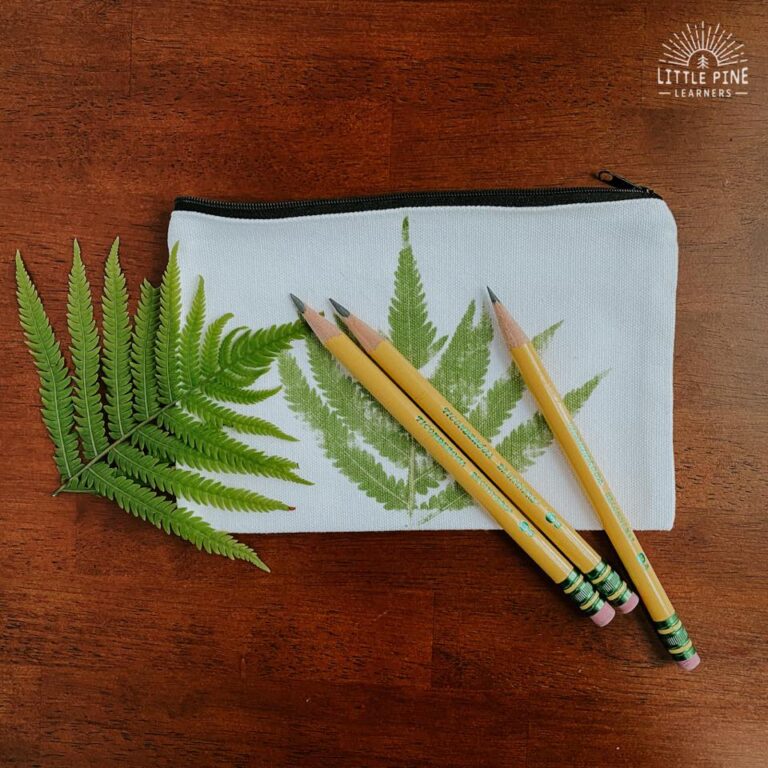 Homemade Pencil Case With Nature Prints • Little Pine Learners