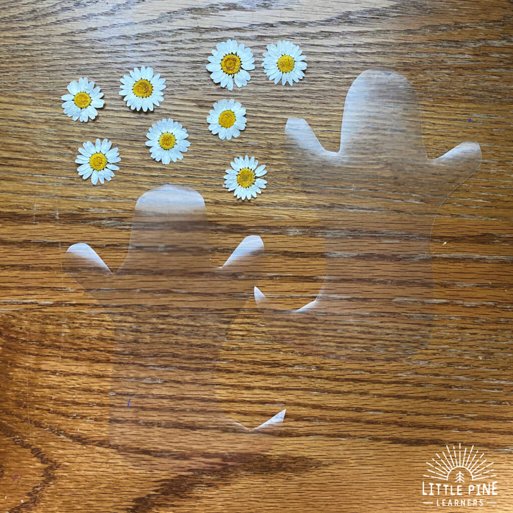 The Cutest Ghost Craft for Halloween • Little Pine Learners