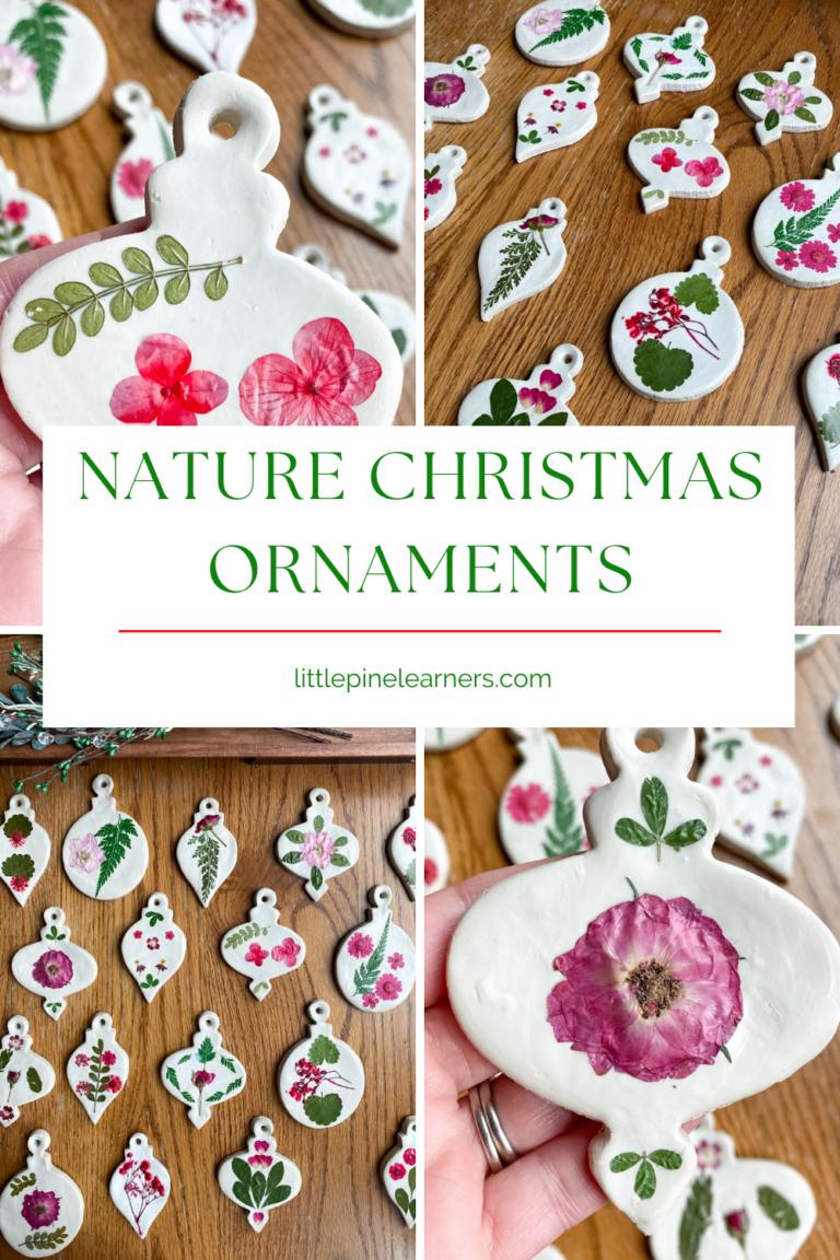 Nature Christmas Ornaments • Little Pine Learners