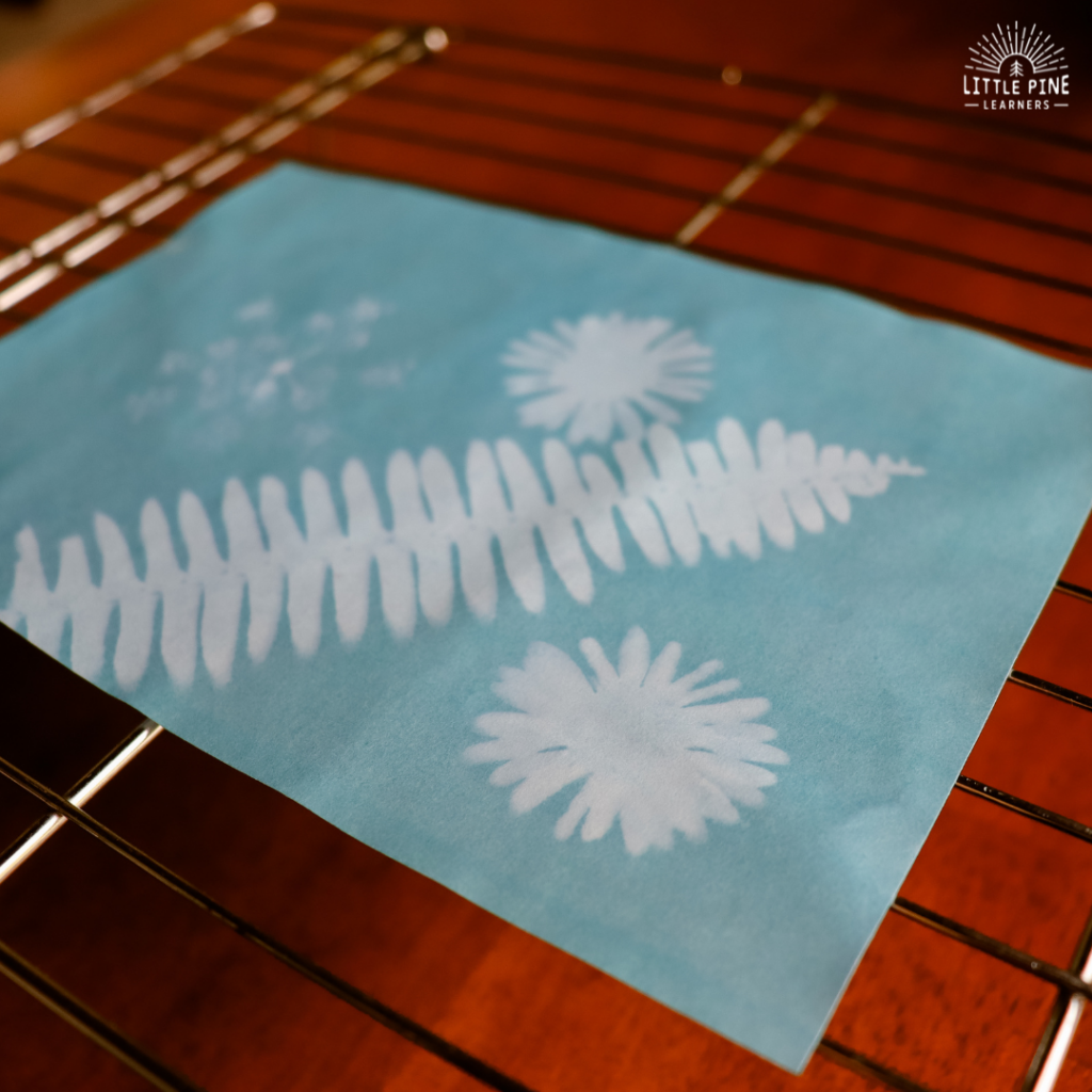 3 Sun Art Paper Lanterns • Little Pine Learners