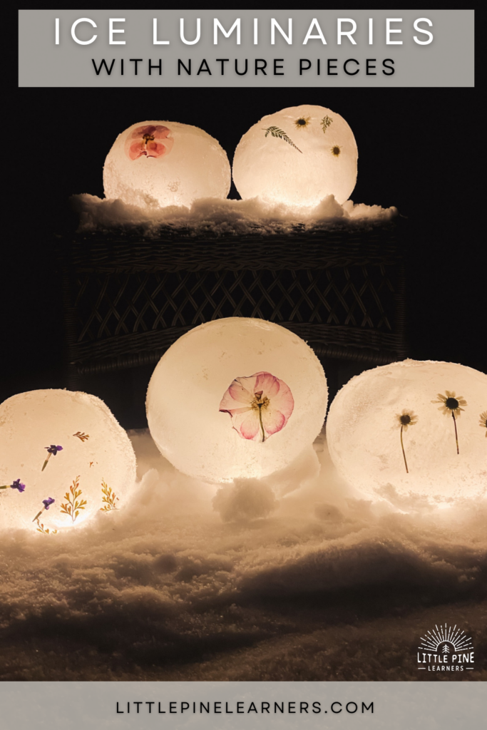 Ice Luminaries with Nature Pieces • Little Pine Learners