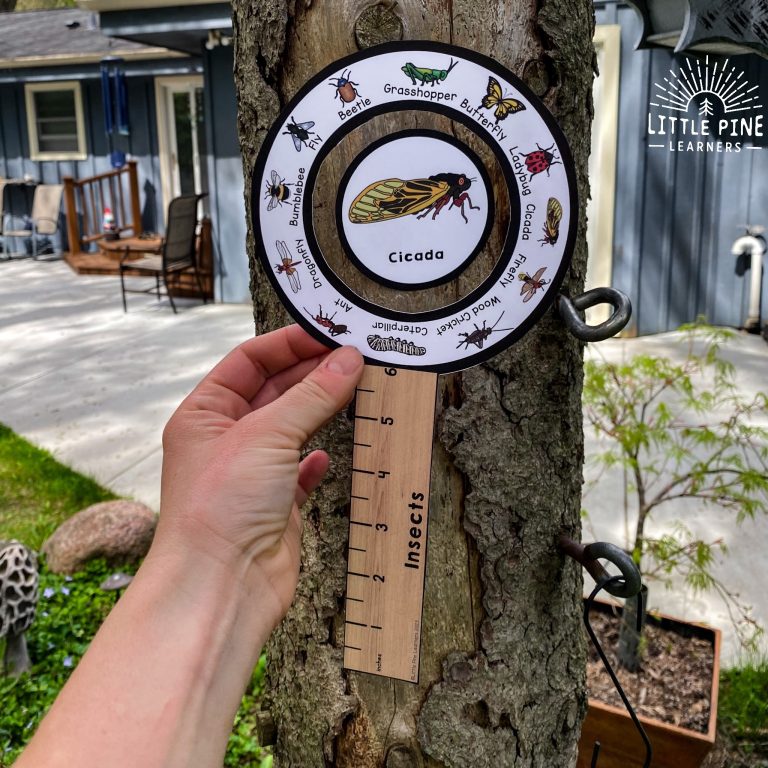Nature Hunt Printables- Indoor or Outdoor • Little Pine Learners