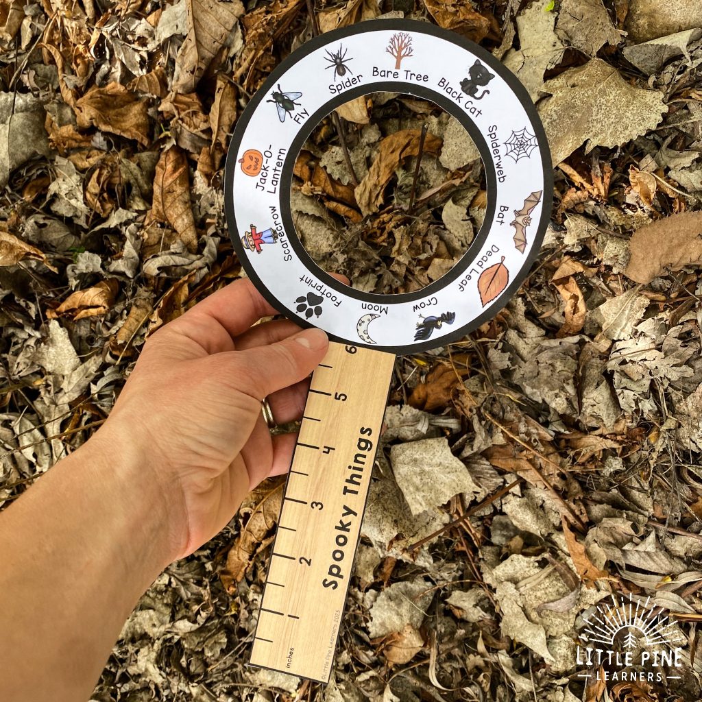 Nature Hunt Printables- Indoor or Outdoor • Little Pine Learners