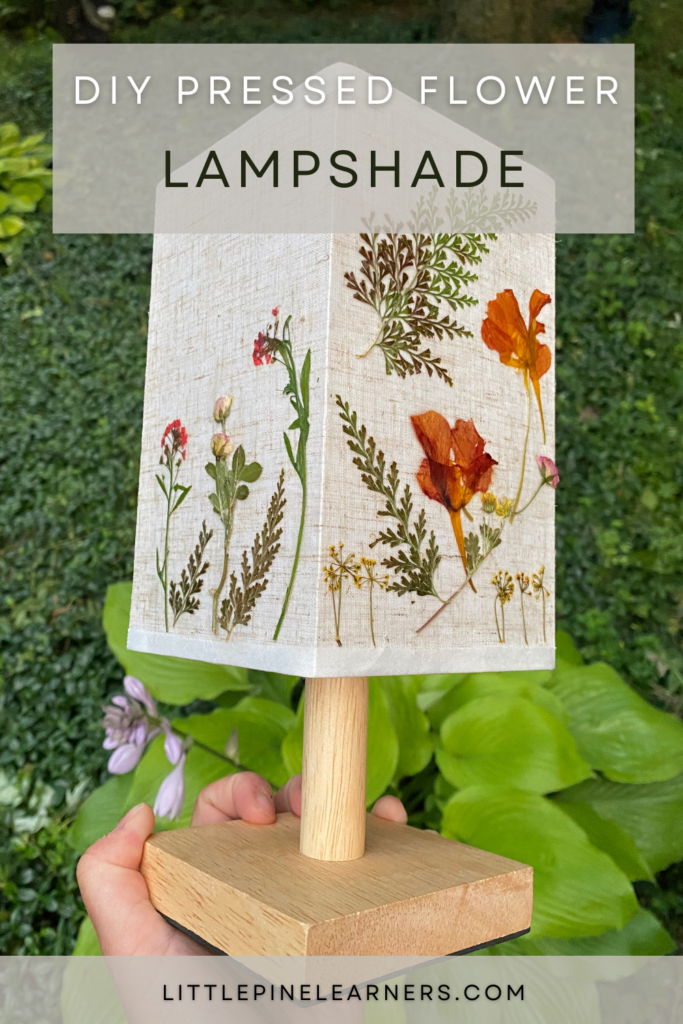 DIY Pressed Flower Lampshade • Little Pine Learners