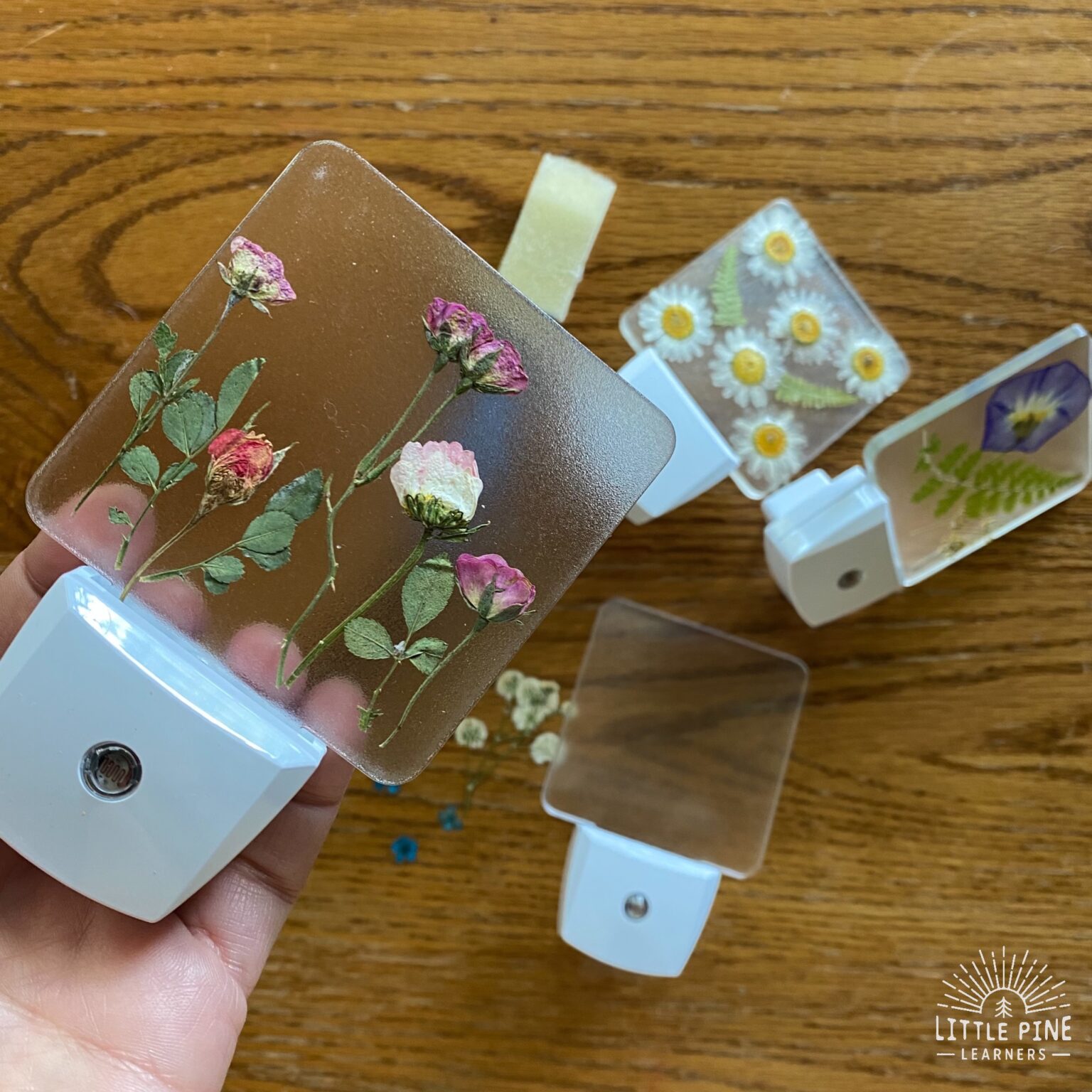 DIY Pressed Flower Night Light • Little Pine Learners