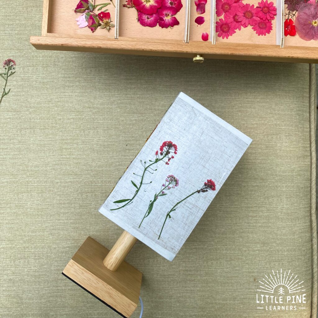 DIY Pressed Flower Lampshade • Little Pine Learners