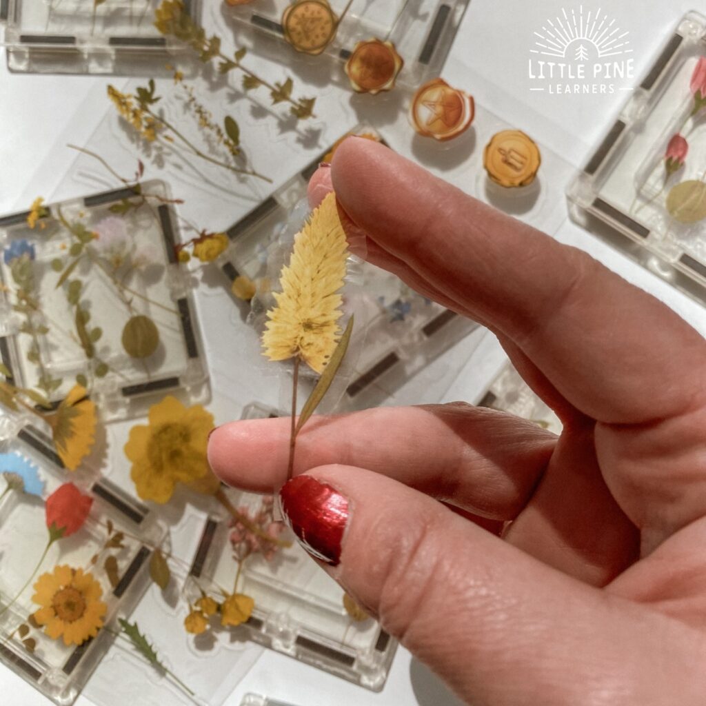DIY Pressed Flower Magnetic Tiles • Little Pine Learners