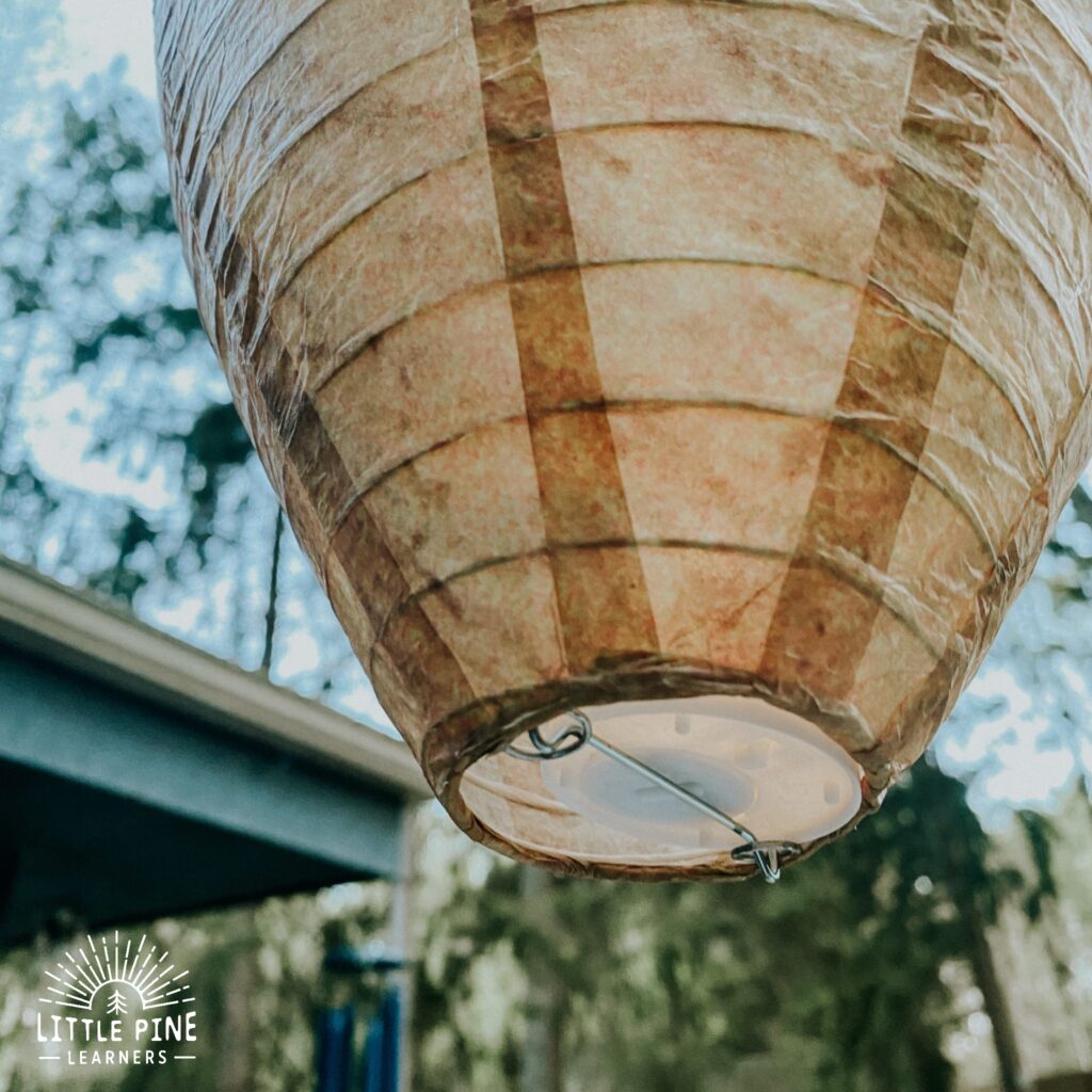 Wasp Nest Decoy Lantern • Little Pine Learners