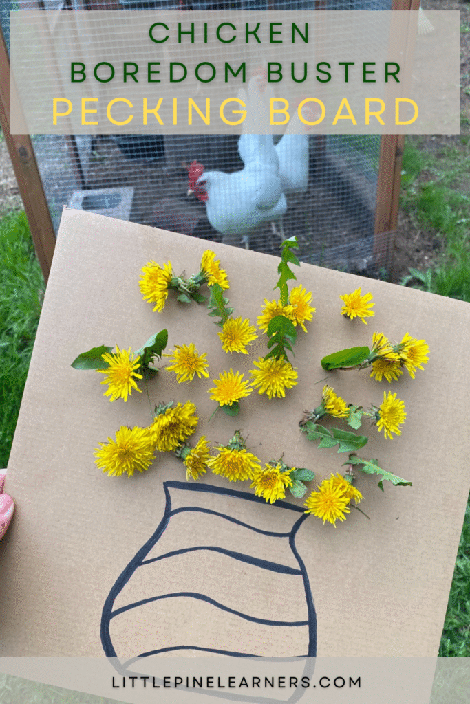 Chicken Boredom Buster- Pecking Board • Little Pine Learners